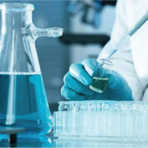 IDDD Scholars Program – Gulf Coast Consortia